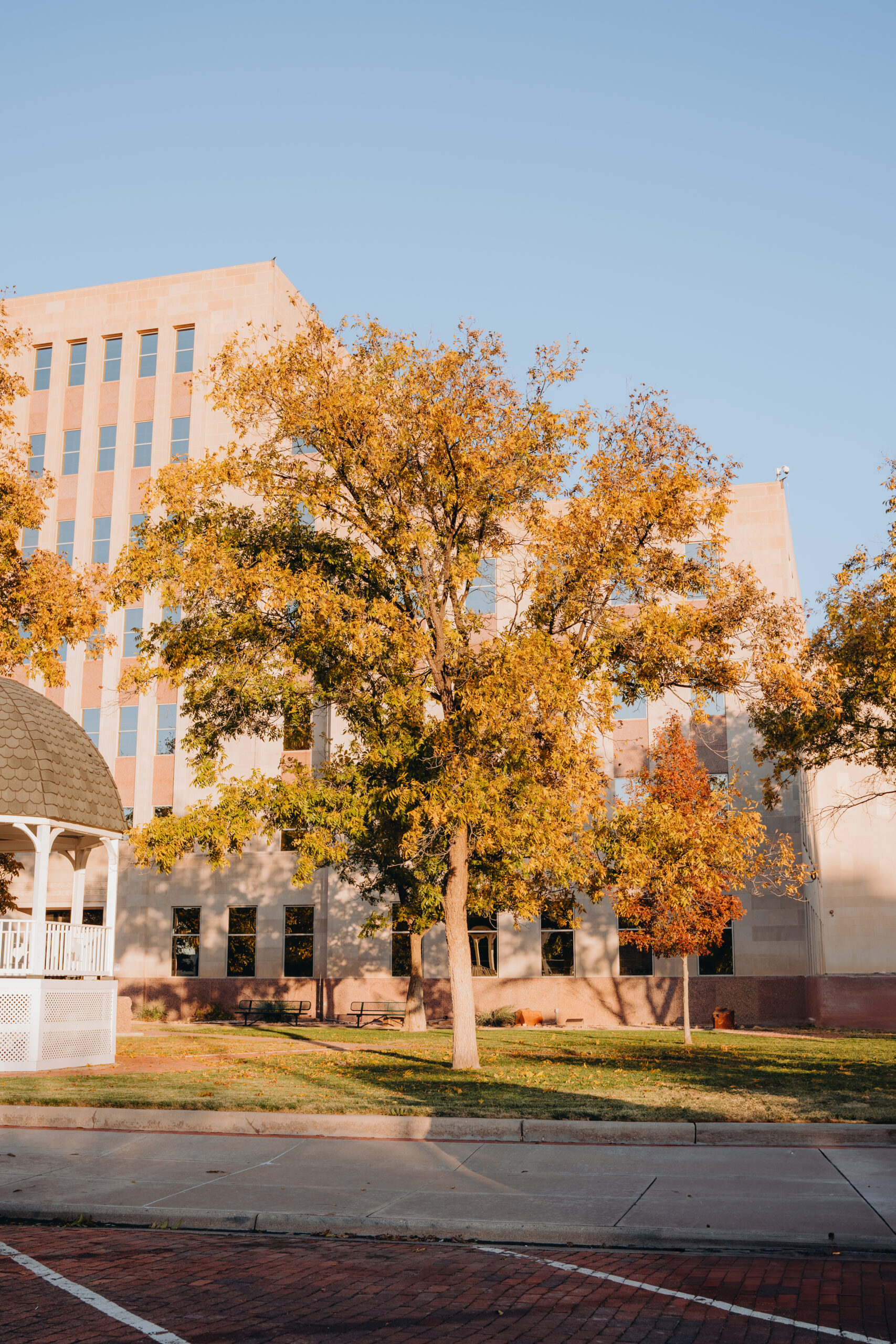 Privacy Policy and Disclosures - Evensky